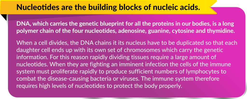 Ultimate Nucleotide | Functional Health Network Functional Health Network